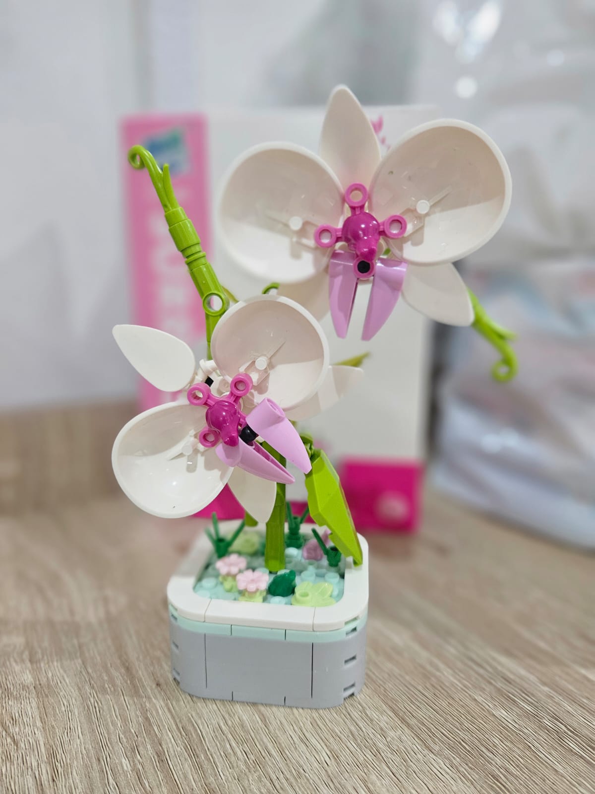 Mini Orchid – Digital Daisy SA